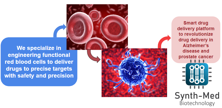 Technology – Synth-Med Biotechnology